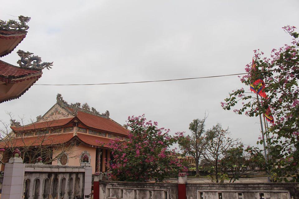 Hình ảnh Tết Canh Tý tại làng Cao Lao Hạ